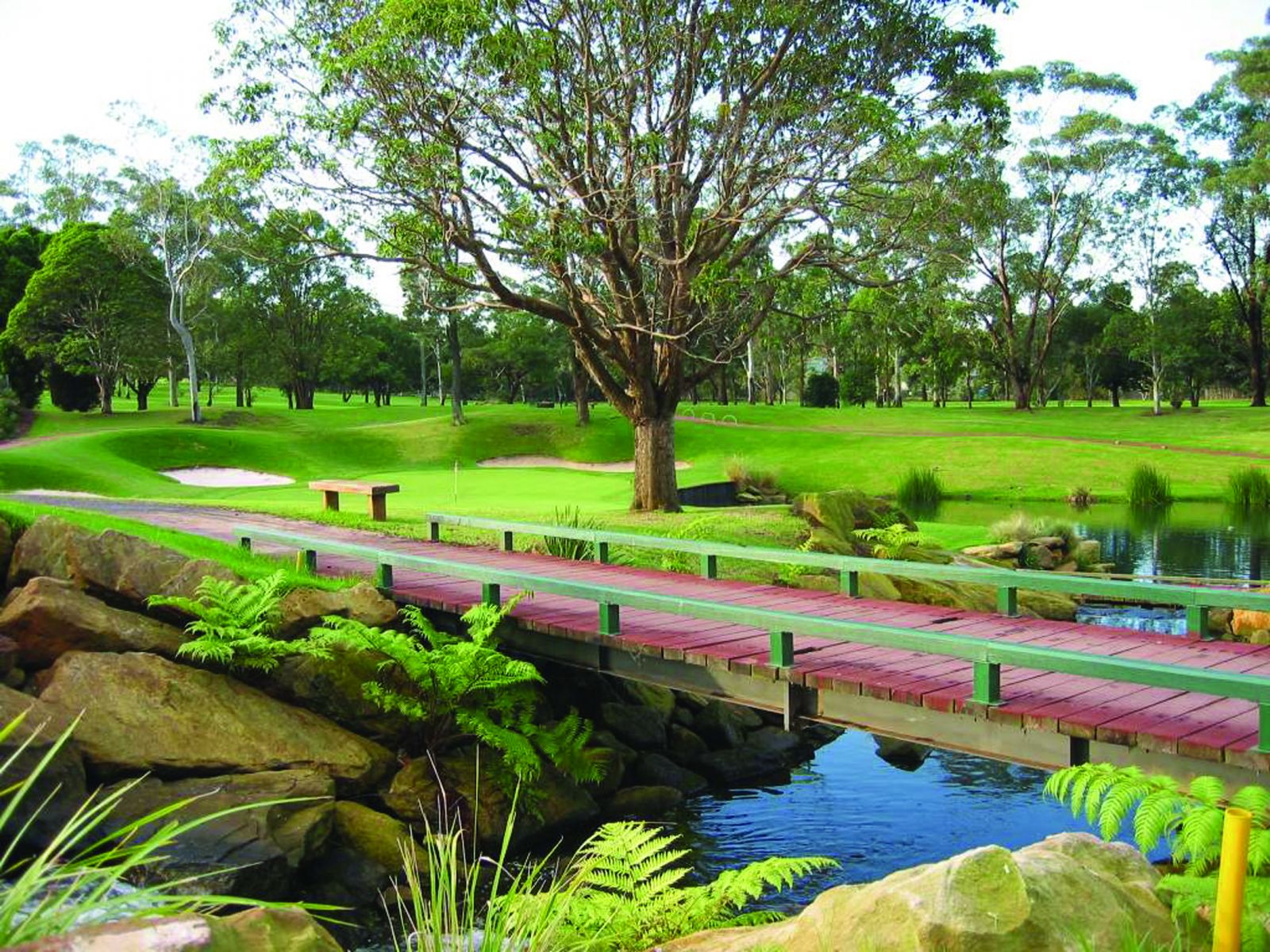 Ryde-Parramatta Golf Club Review - ausgolf