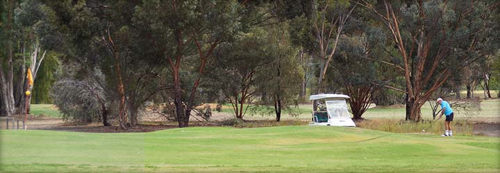 Australias most informative golf website - ausgolf